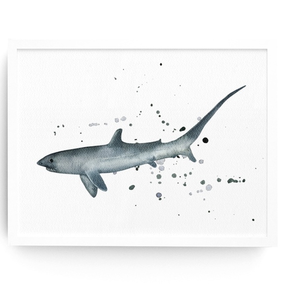Art | Watercolor Thresher Shark Ocean Animal Wall Art Illustration ...